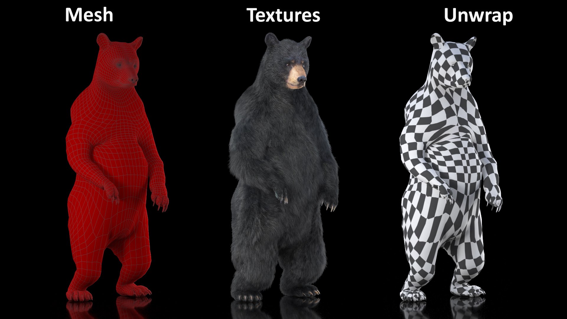 3D Standing Black Bear Fur Model - TurboSquid 2255009