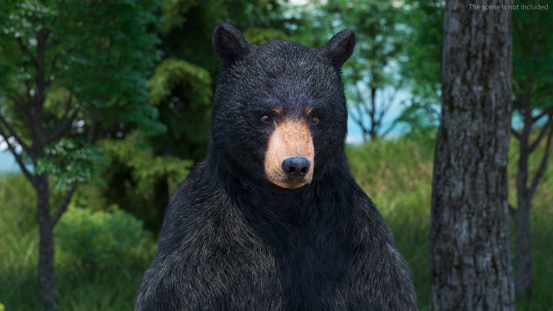 3D Standing Black Bear Fur Model - TurboSquid 2255009
