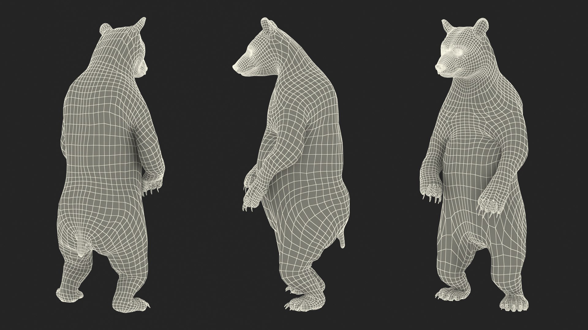 3D Standing Black Bear Fur Model - TurboSquid 2255009