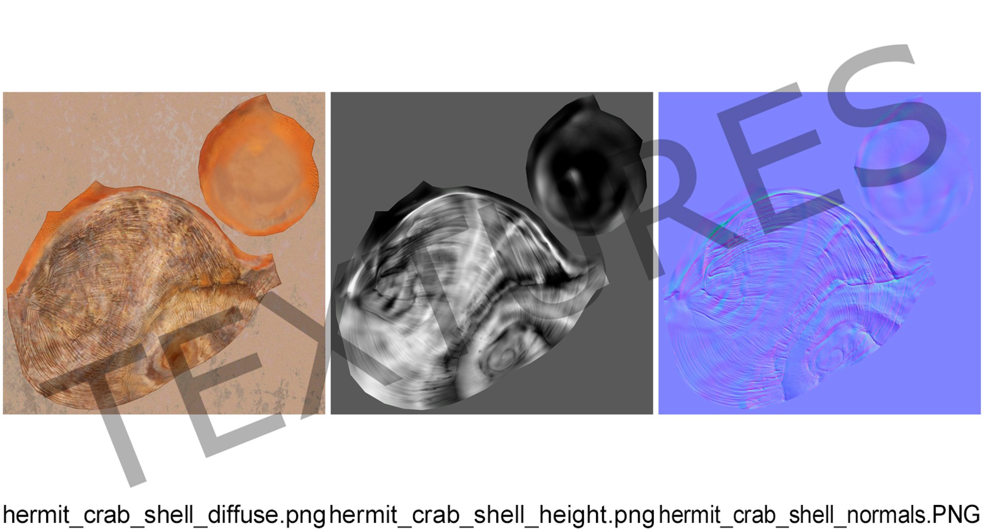 Hermit Crab Walking Pose 3D - TurboSquid 1150944