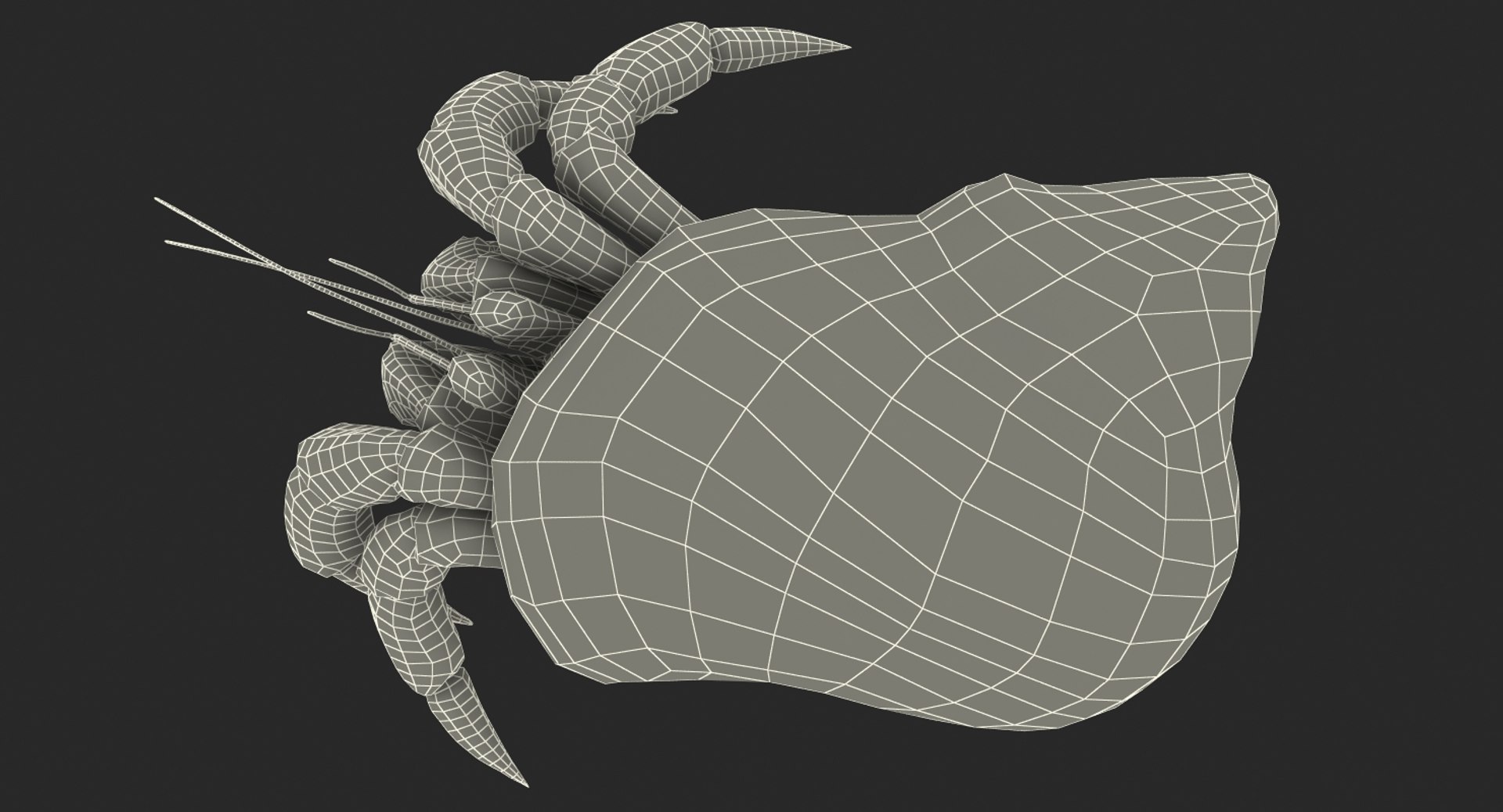 Hermit Crab Walking Pose 3D - TurboSquid 1150944