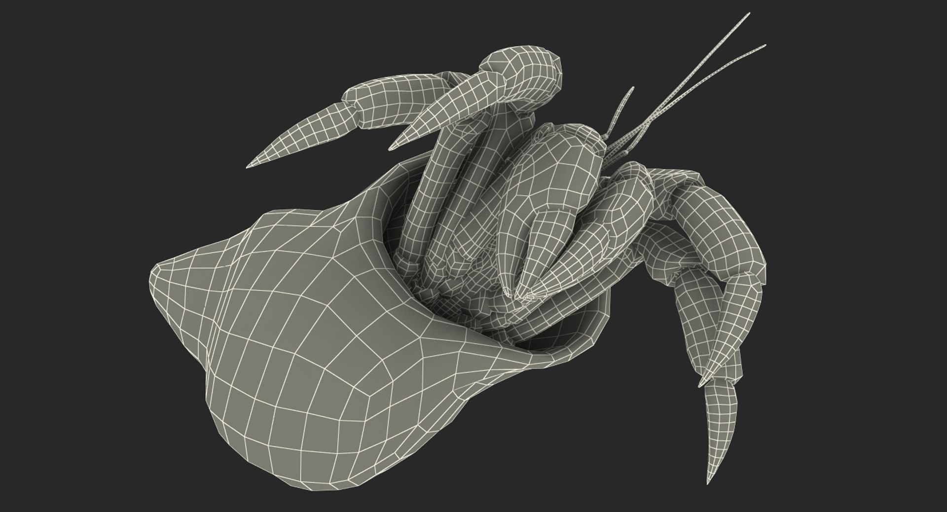 Hermit crab walking pose 3D - TurboSquid 1150944