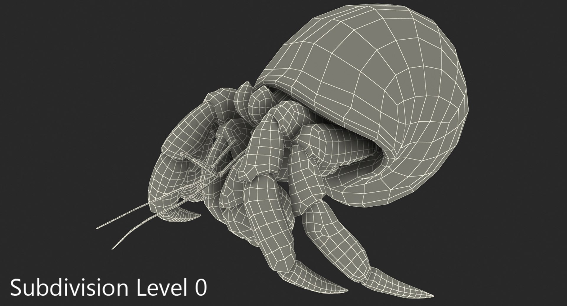 Hermit Crab Walking Pose 3D - TurboSquid 1150944