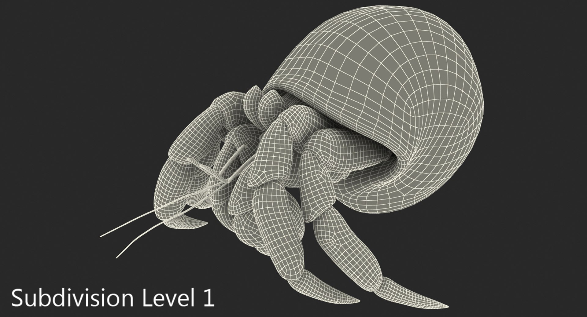 Hermit Crab Walking Pose 3D - TurboSquid 1150944
