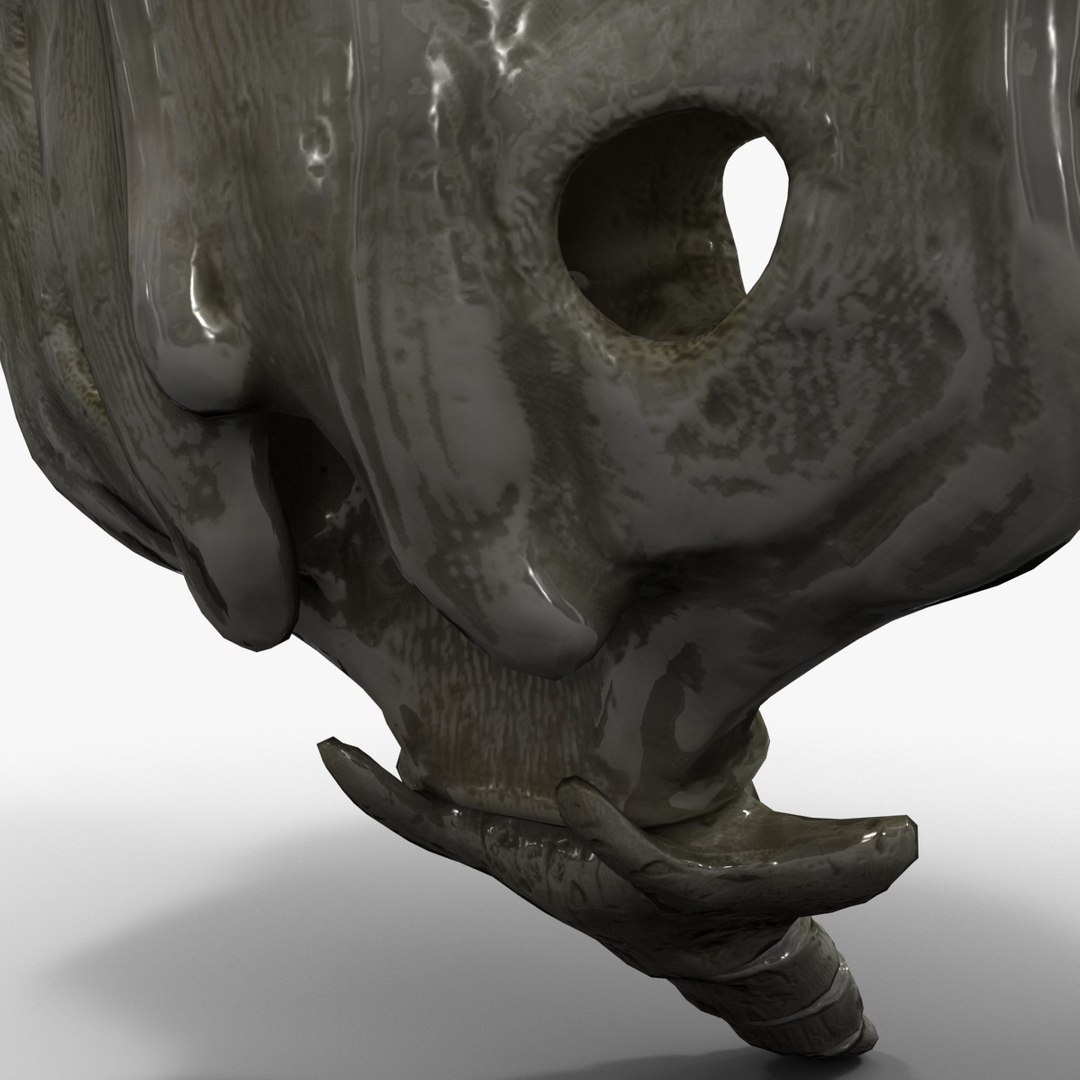 3d Model Tailbone Bone