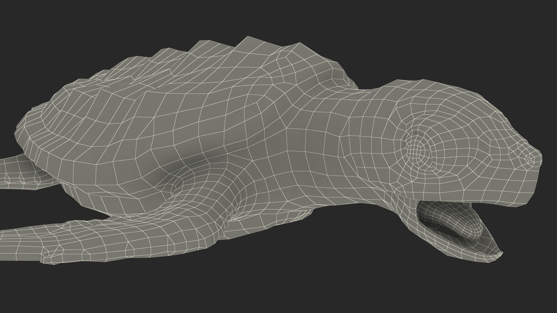 3D Baby Sea Turtle Brown Rigged For Maya - TurboSquid 2205432