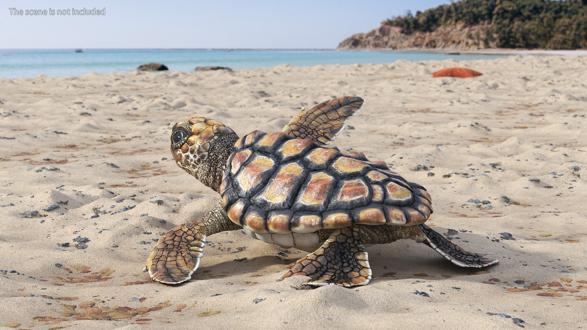 3D Baby Sea Turtle Brown Rigged For Maya - TurboSquid 2205432