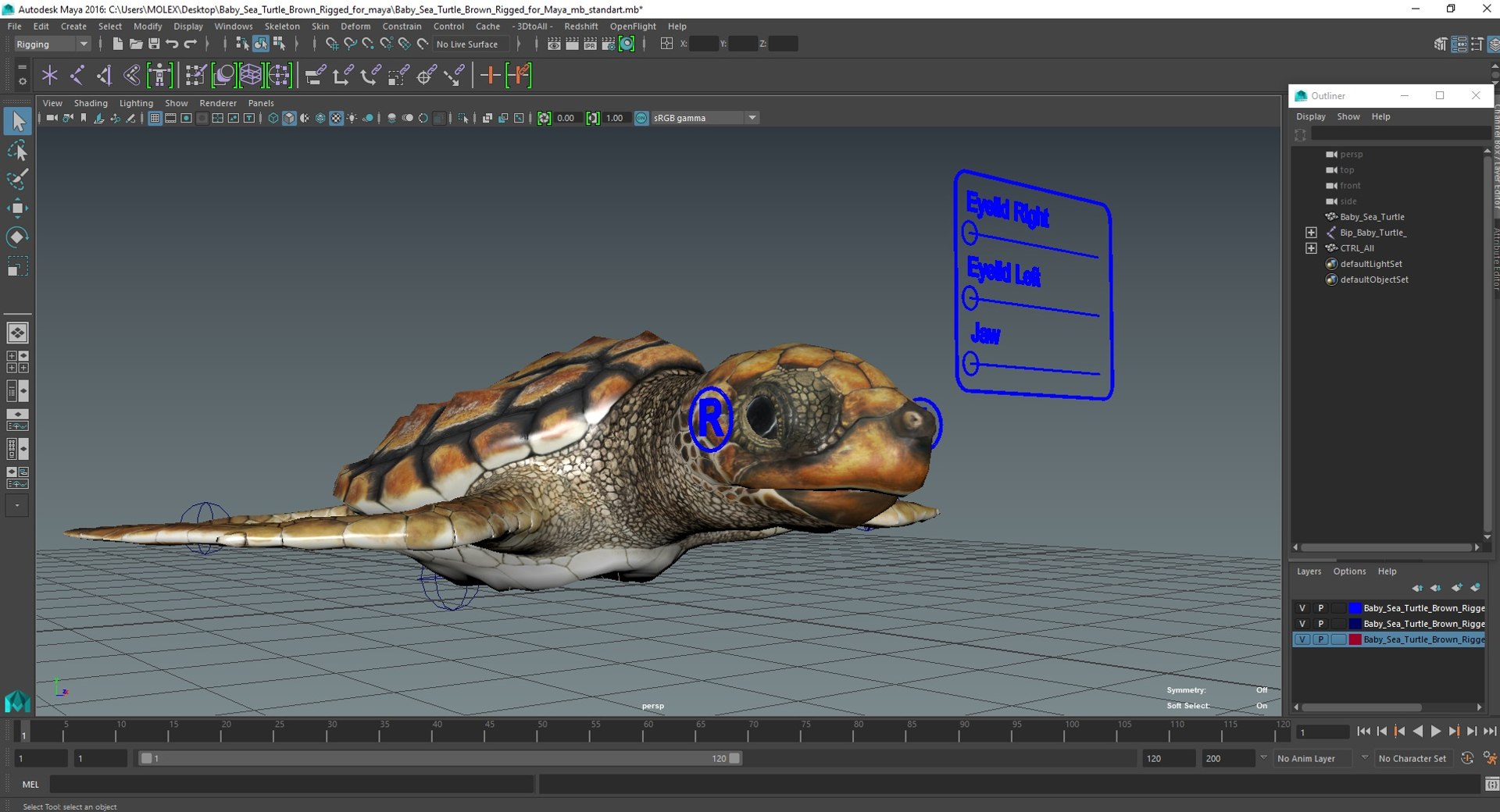 3D Baby Sea Turtle Brown Rigged For Maya - TurboSquid 2205432