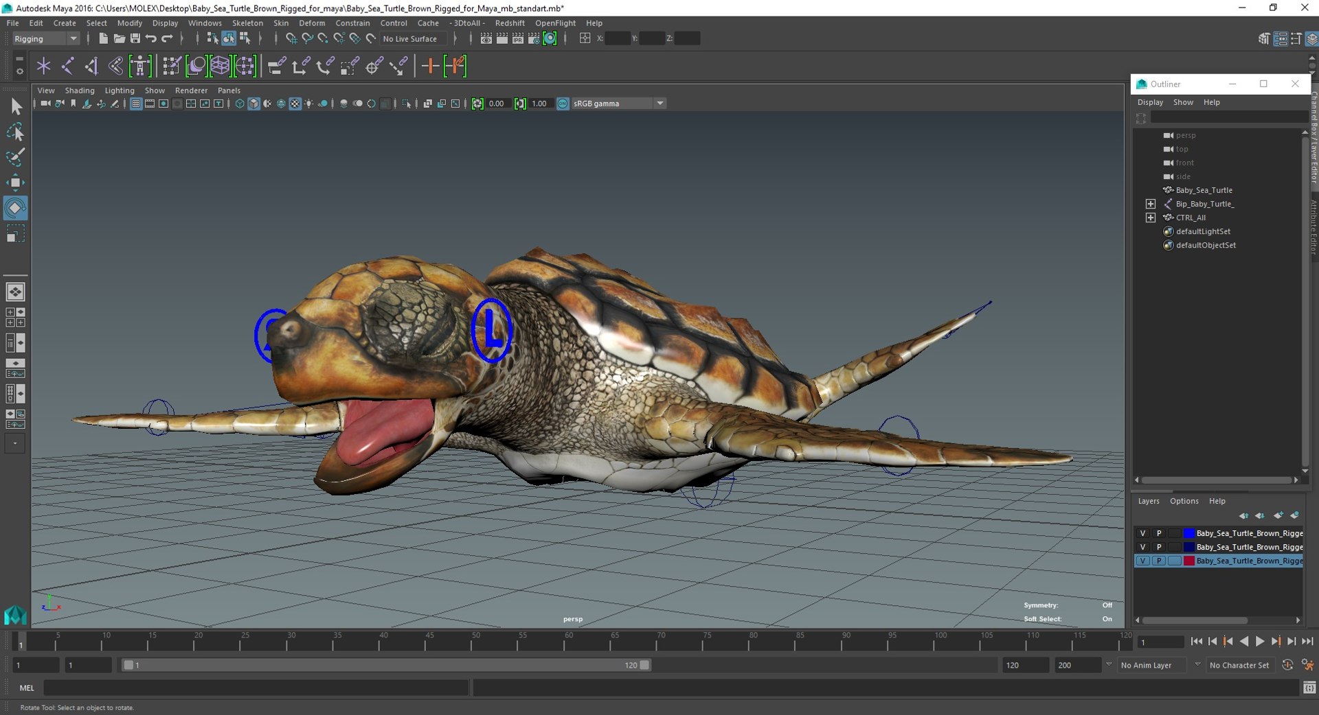 3D Baby Sea Turtle Brown Rigged For Maya - TurboSquid 2205432