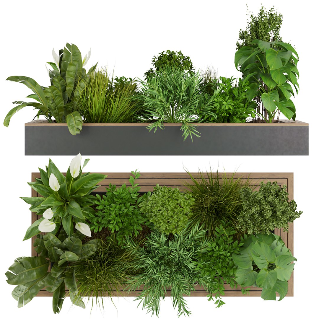 Collection Plant Vol 313 - Outdoor - Leaf - Blender - 3dmax - Cinema 4d 3D - TurboSquid 1896642