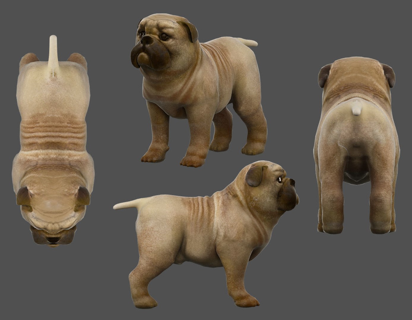 Pug Dog Low-poly 3D Model - TurboSquid 1463532