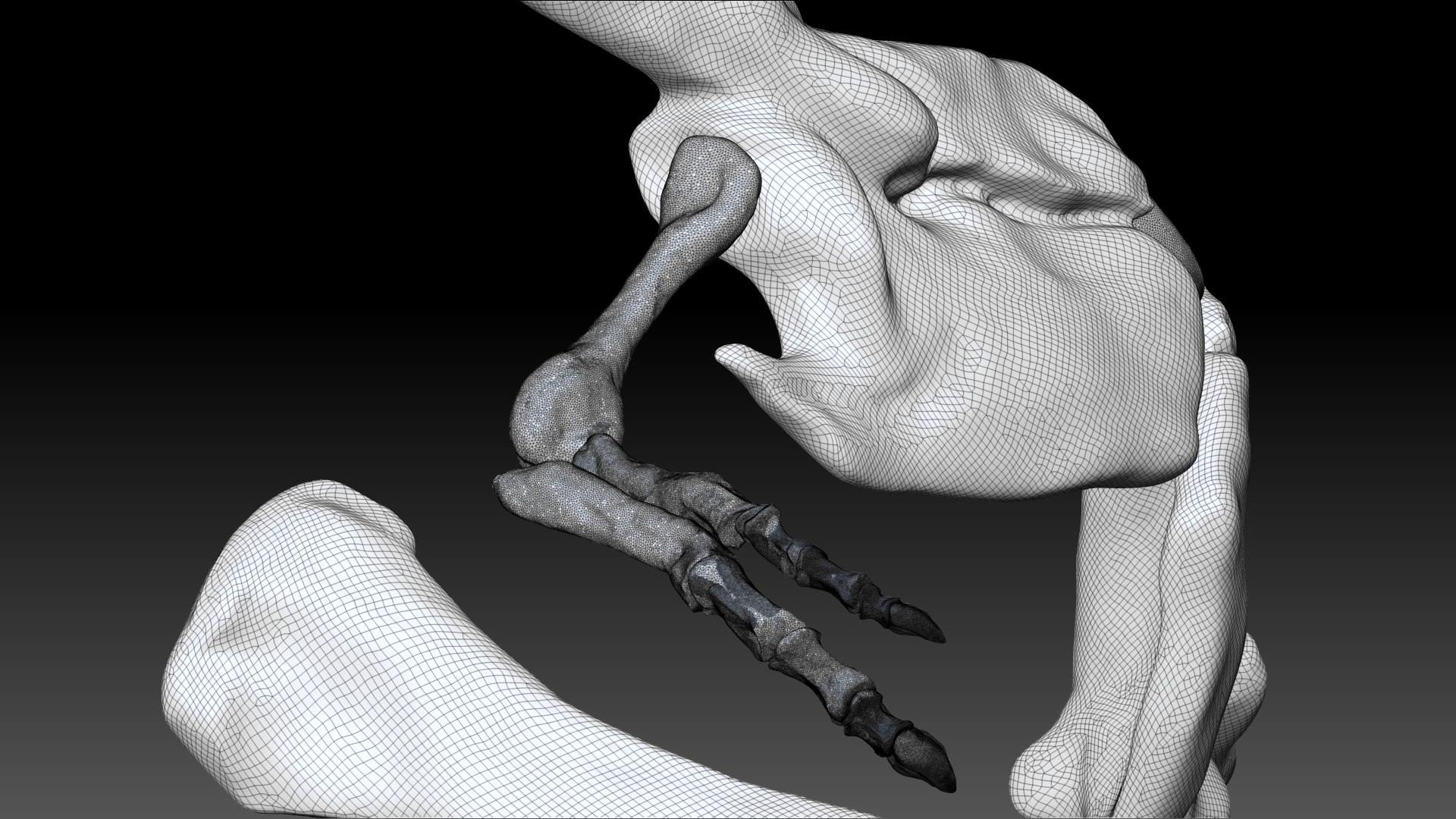 Tarbosaurus Bataar Arms Set 3D Model - TurboSquid 1902206