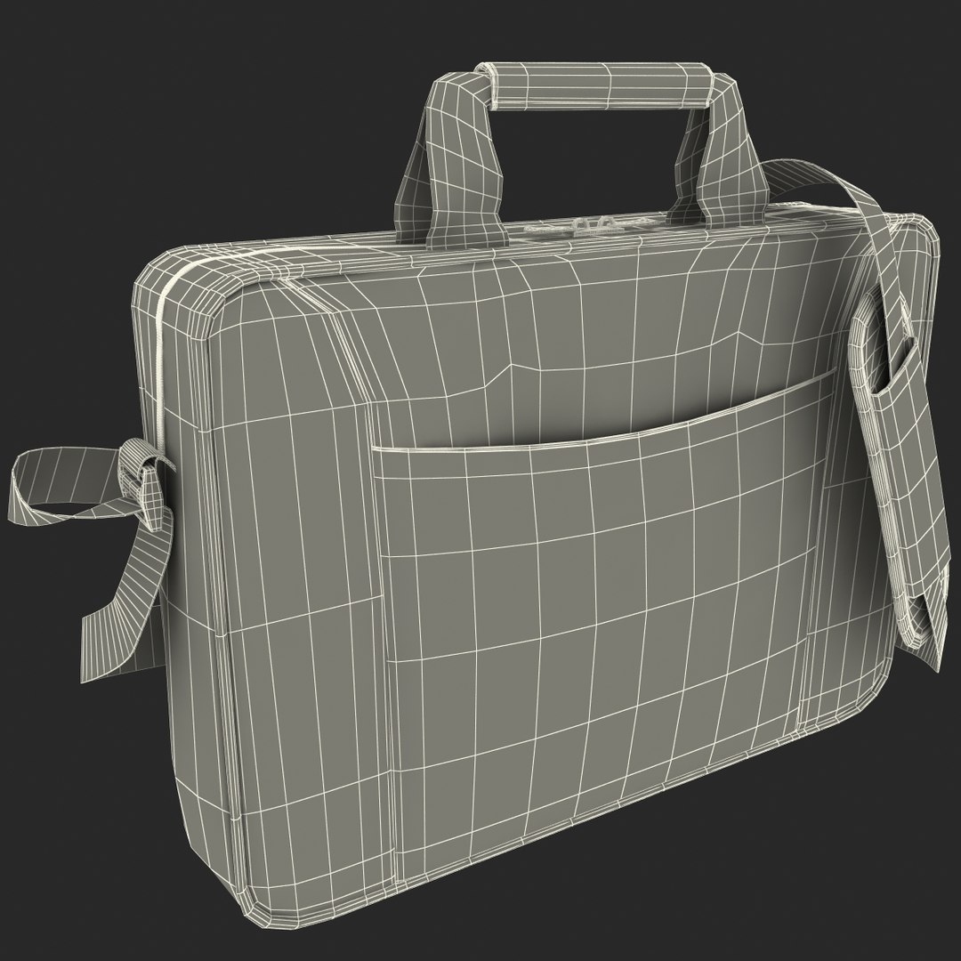 3d model of laptop cases