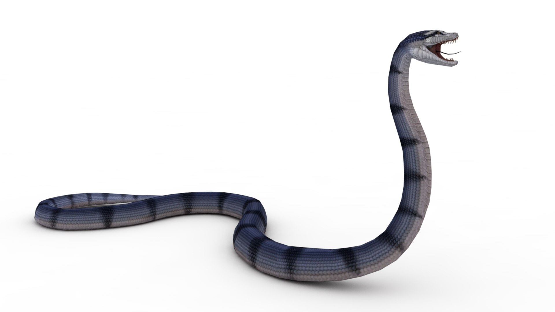 Anaconda Snake 3D Model - TurboSquid 2296082
