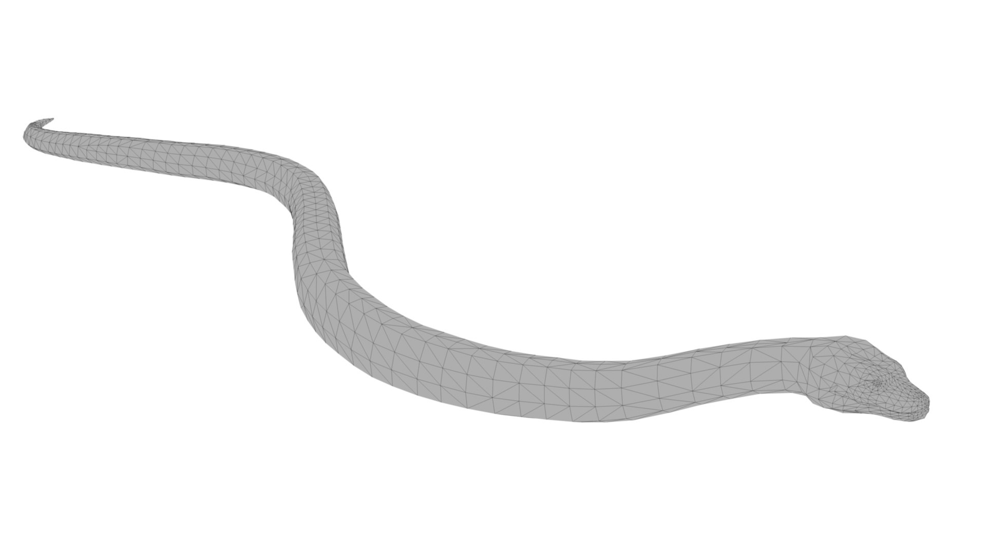 Anaconda Snake 3D Model - TurboSquid 2296082