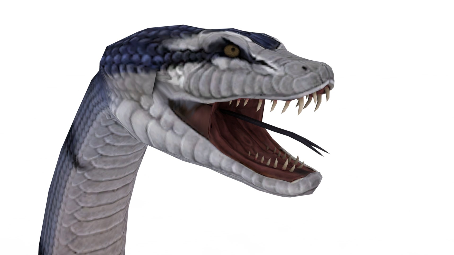 Anaconda Snake 3D Model - TurboSquid 2296082
