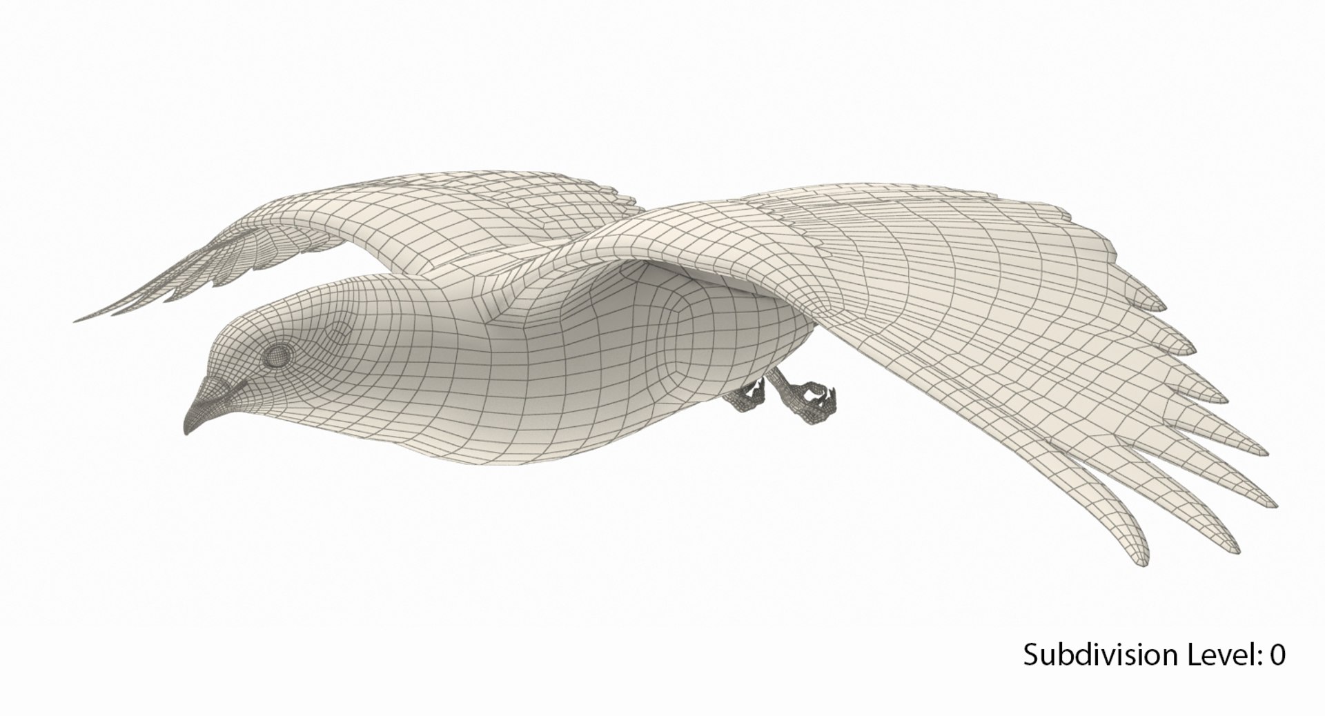 3D Model City Pigeon Flying Animation - TurboSquid 1305623