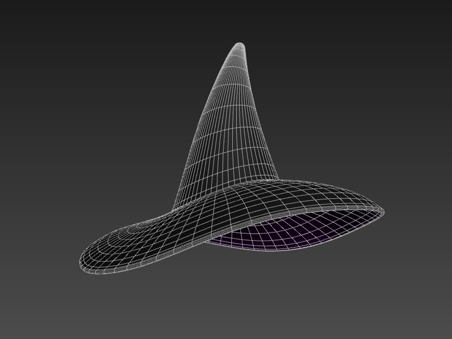 Witch Hat 3D Model - TurboSquid 1512898