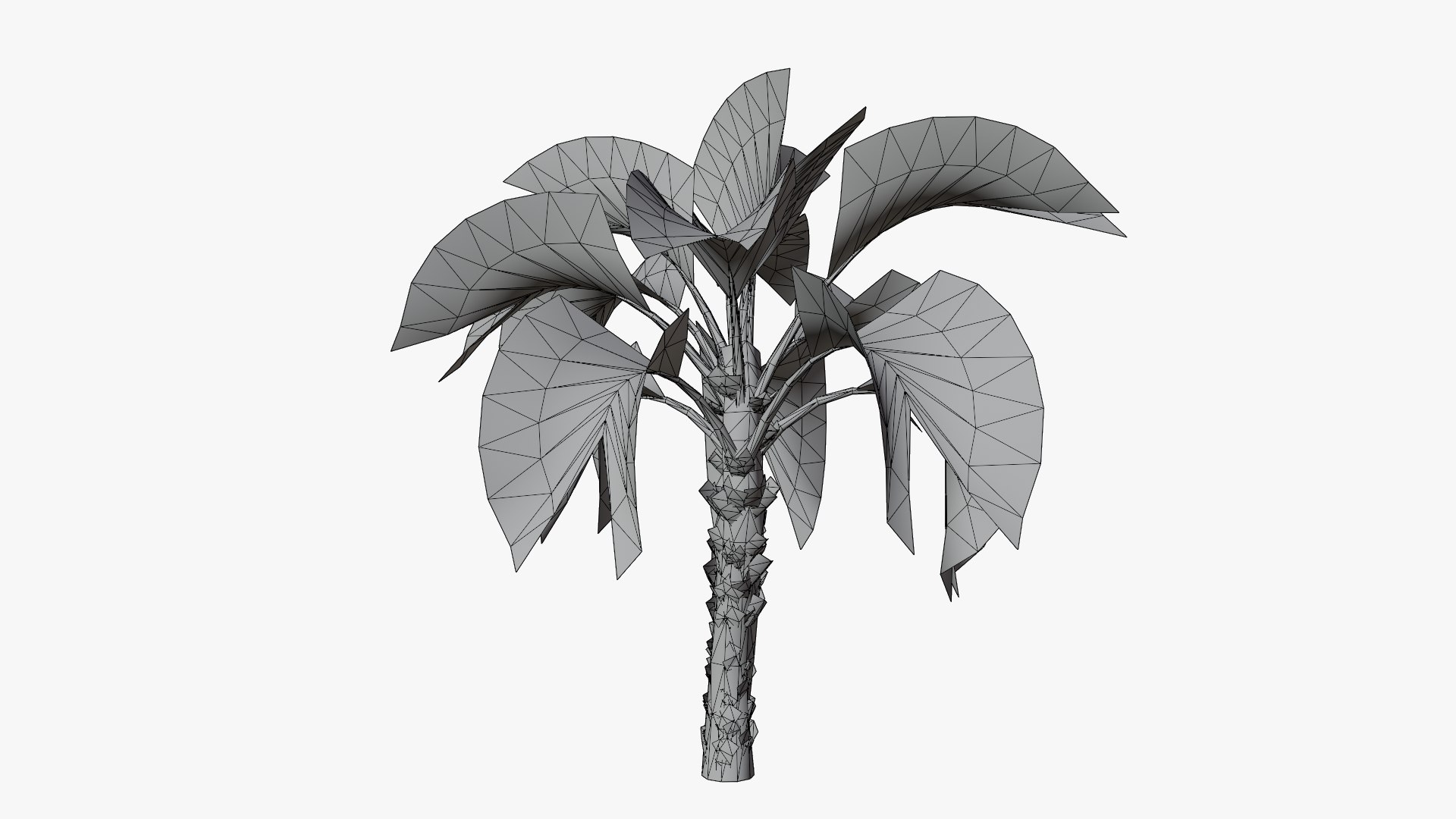 3D Lowpoly Howea Forsteriana Curly Palm Model - TurboSquid 2041410