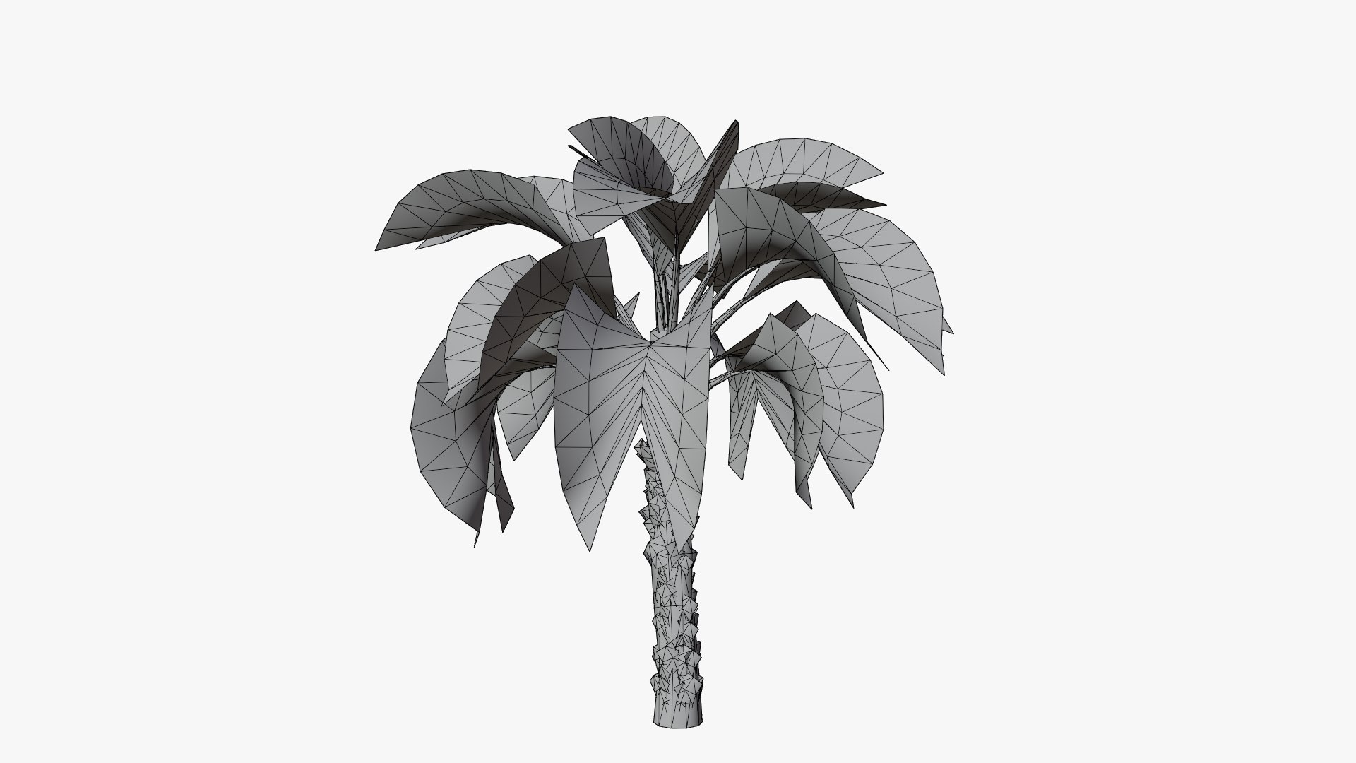 3D Lowpoly Howea Forsteriana Curly Palm Model - TurboSquid 2041410