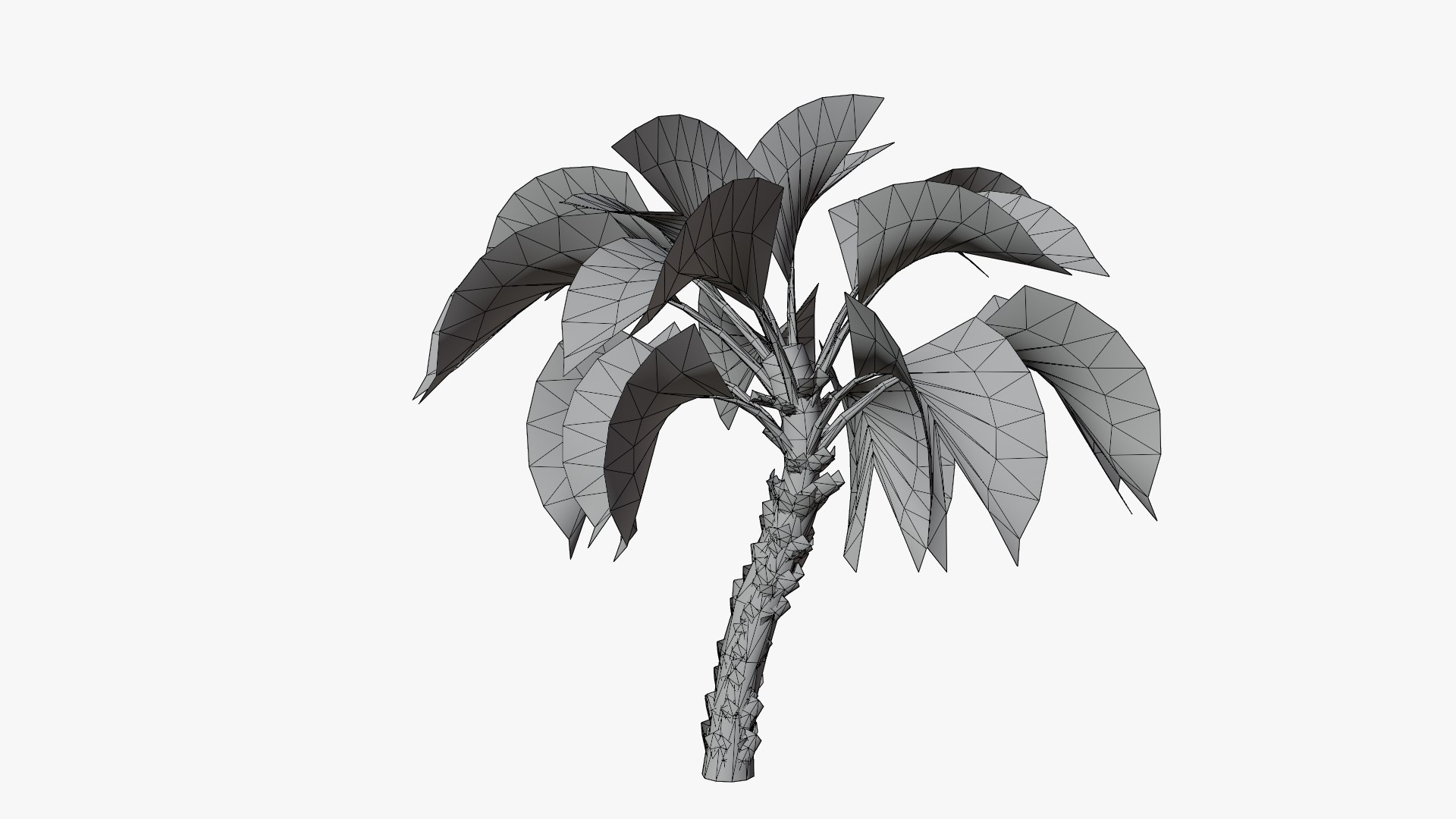 3D Lowpoly Howea Forsteriana Curly Palm Model - TurboSquid 2041410