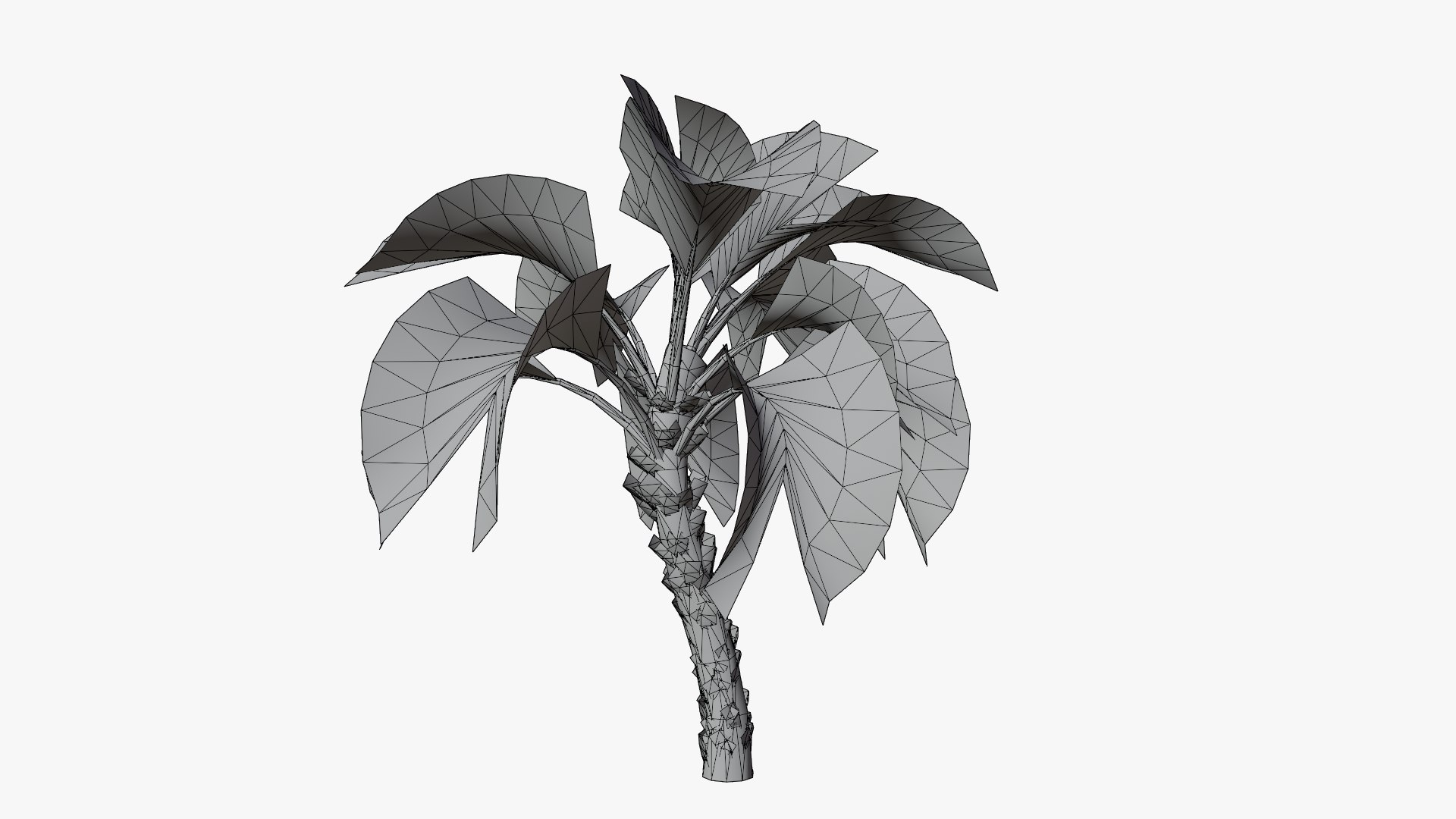 3D Lowpoly Howea Forsteriana Curly Palm Model - TurboSquid 2041410