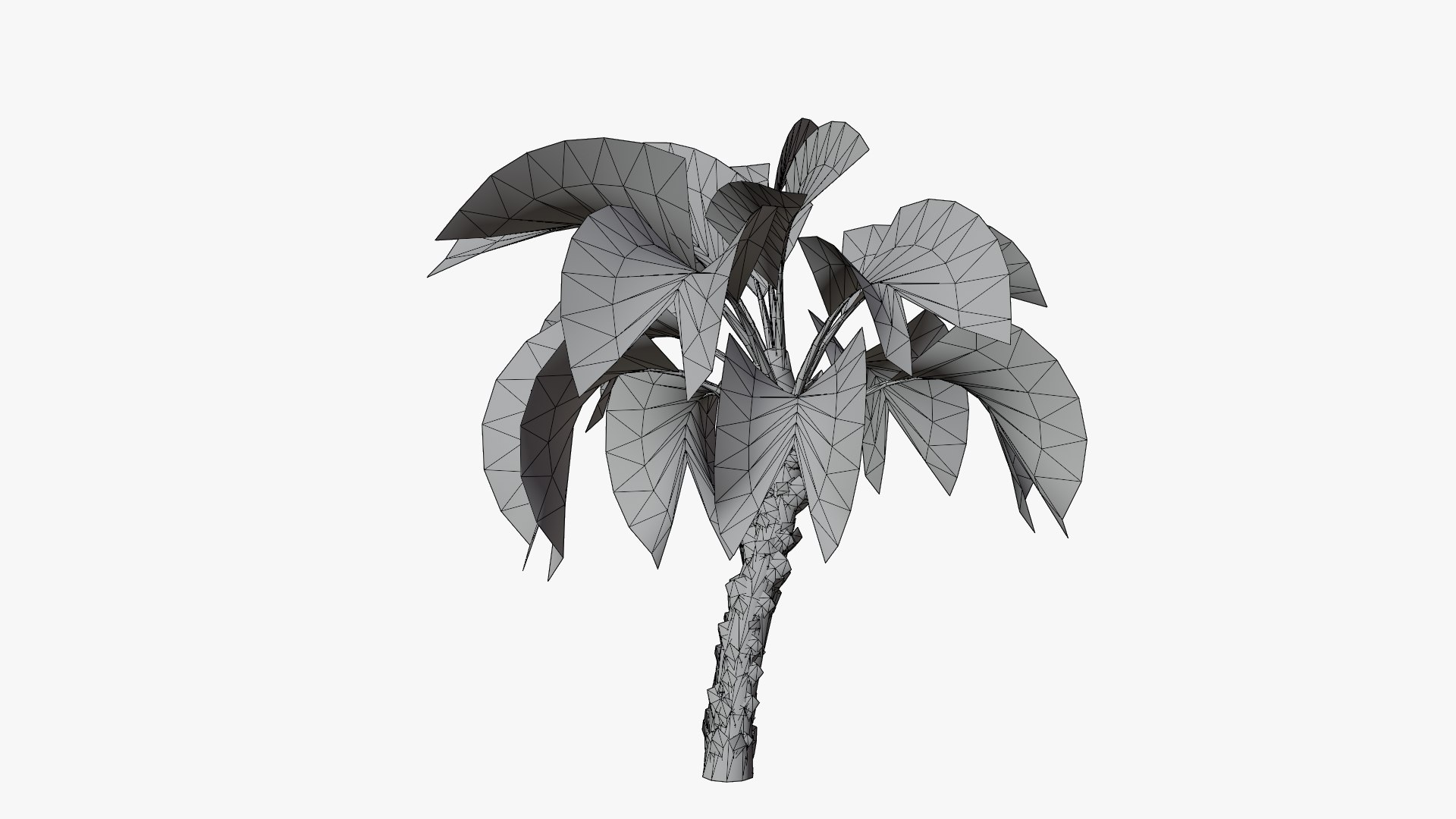 3D Lowpoly Howea Forsteriana Curly Palm Model - TurboSquid 2041410
