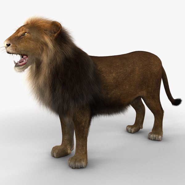 lion rigged 3d model