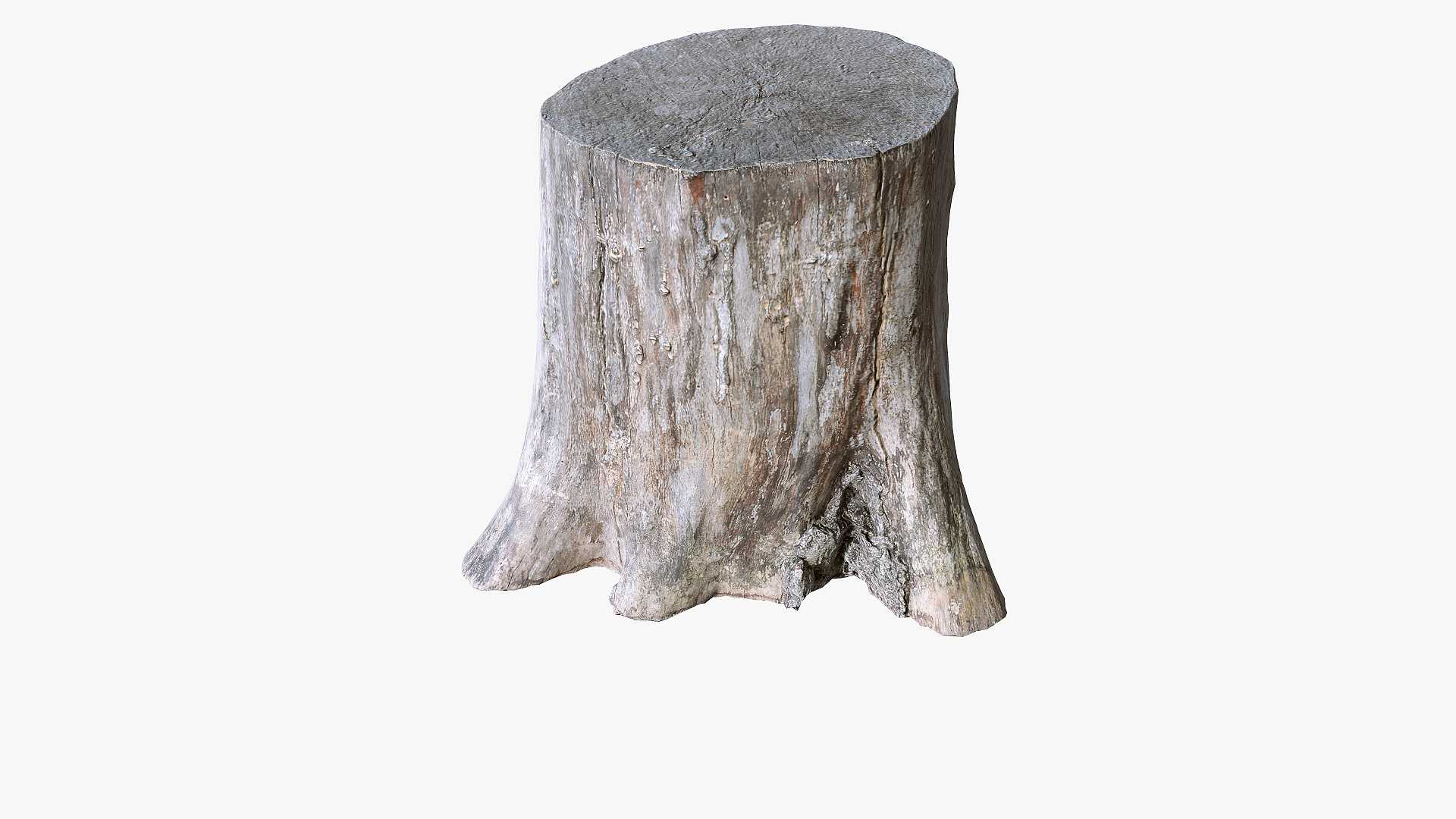 Scanned Stump Model - TurboSquid 1483434