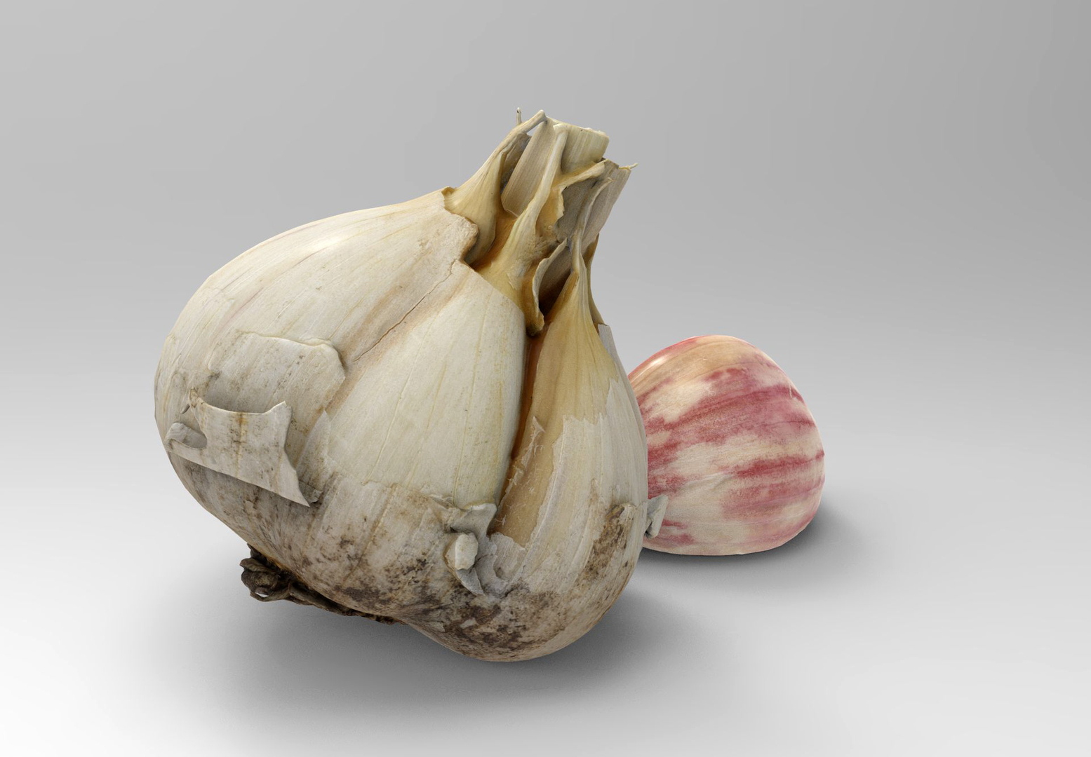 Garlic And A Clove Of Garlic Model - TurboSquid 1951920
