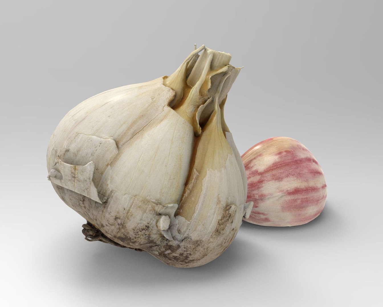Garlic And A Clove Of Garlic Model - TurboSquid 1951920