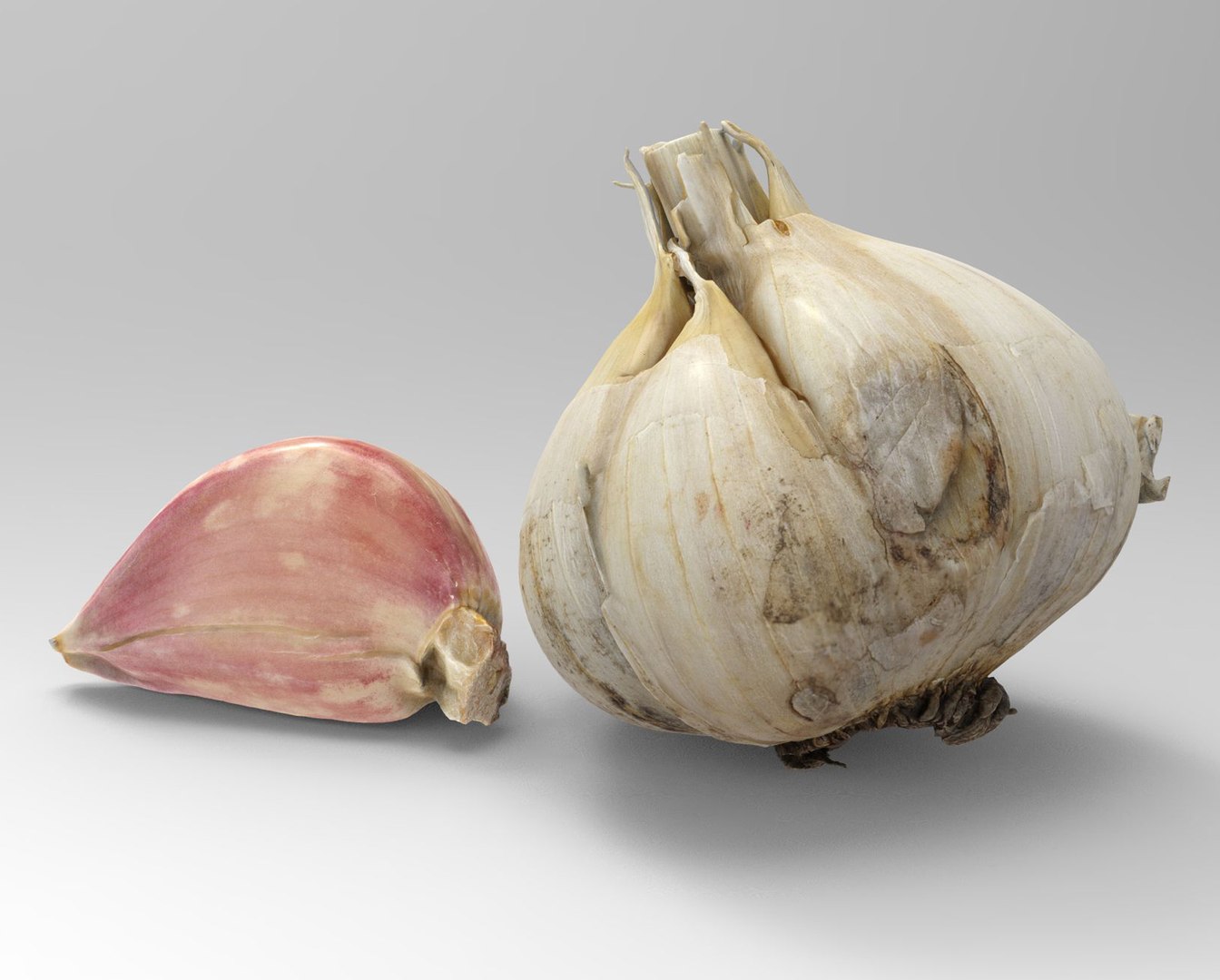 Garlic And A Clove Of Garlic Model - TurboSquid 1951920