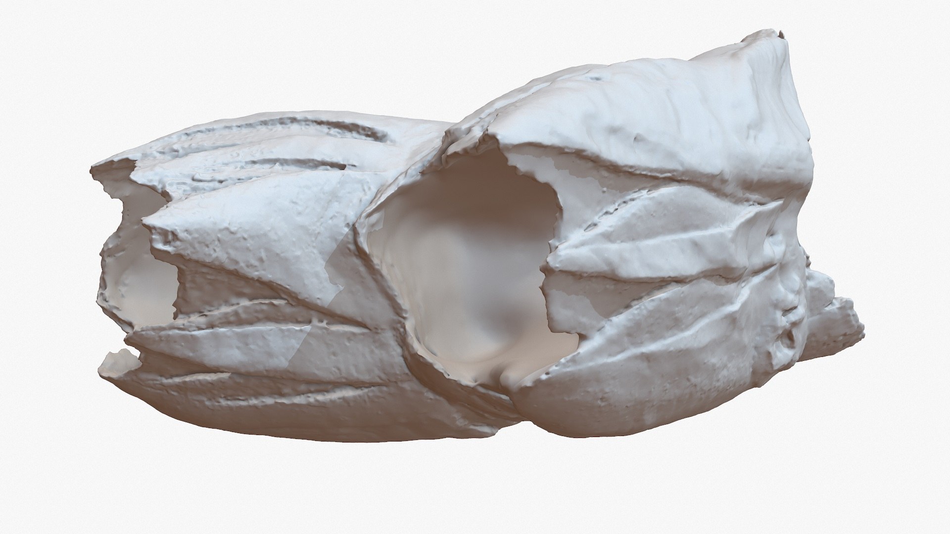 Purple Barnacle Sea Shell 3D Model - TurboSquid 1193860