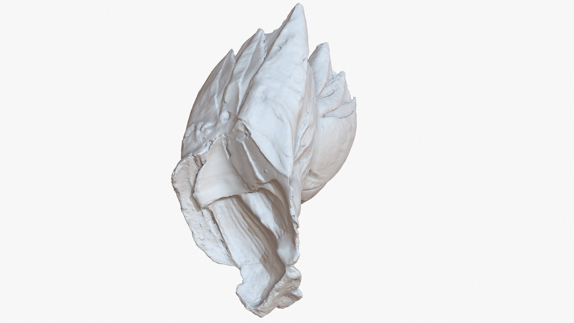 Purple Barnacle Sea Shell 3D Model - TurboSquid 1193860