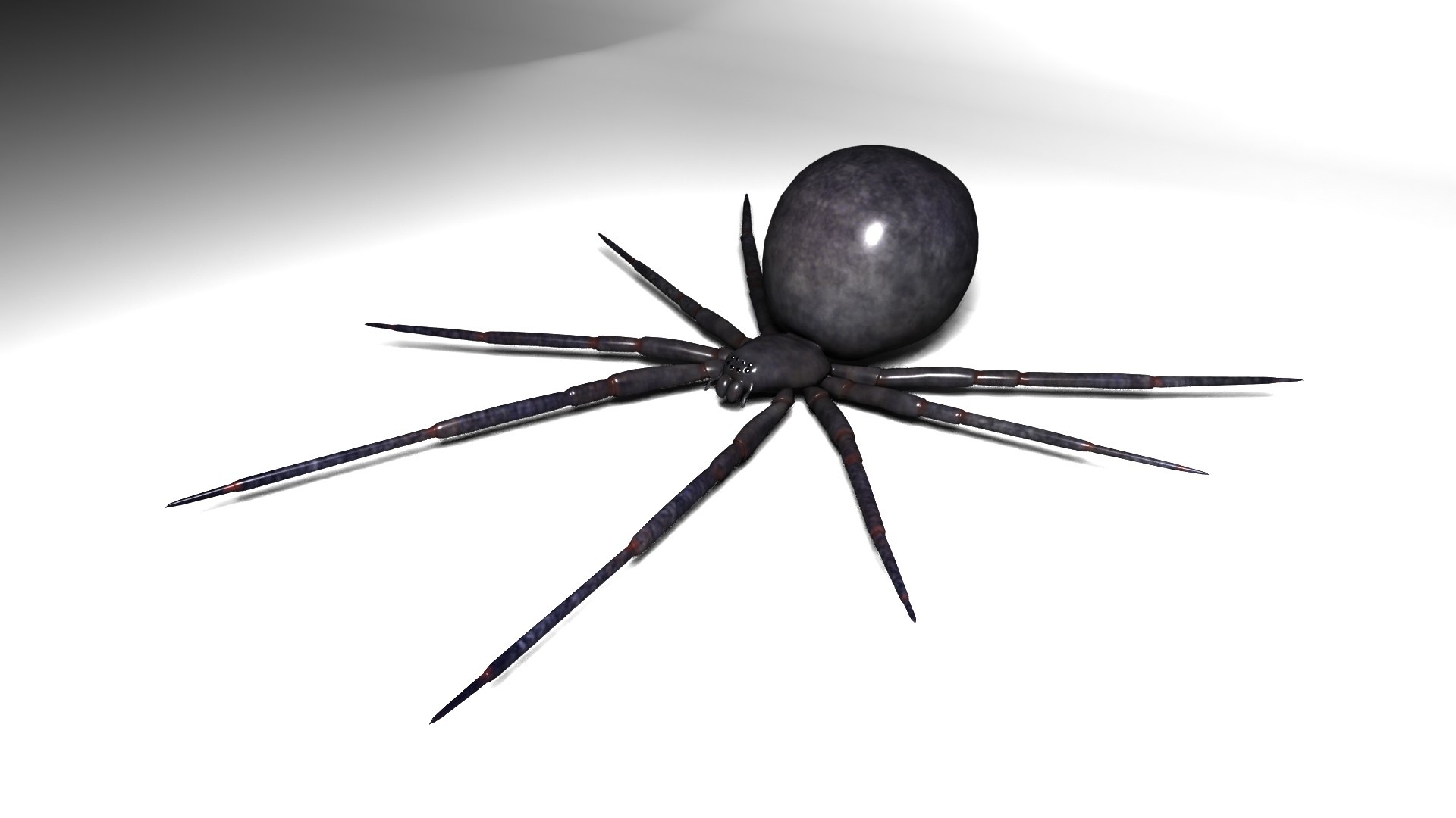 Spider Model - TurboSquid 2212163