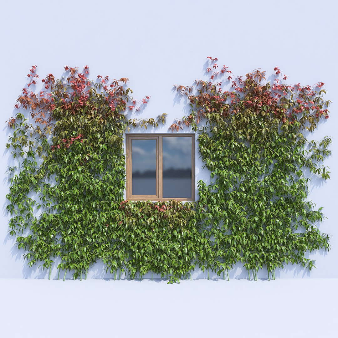 3d model set 2 ivy