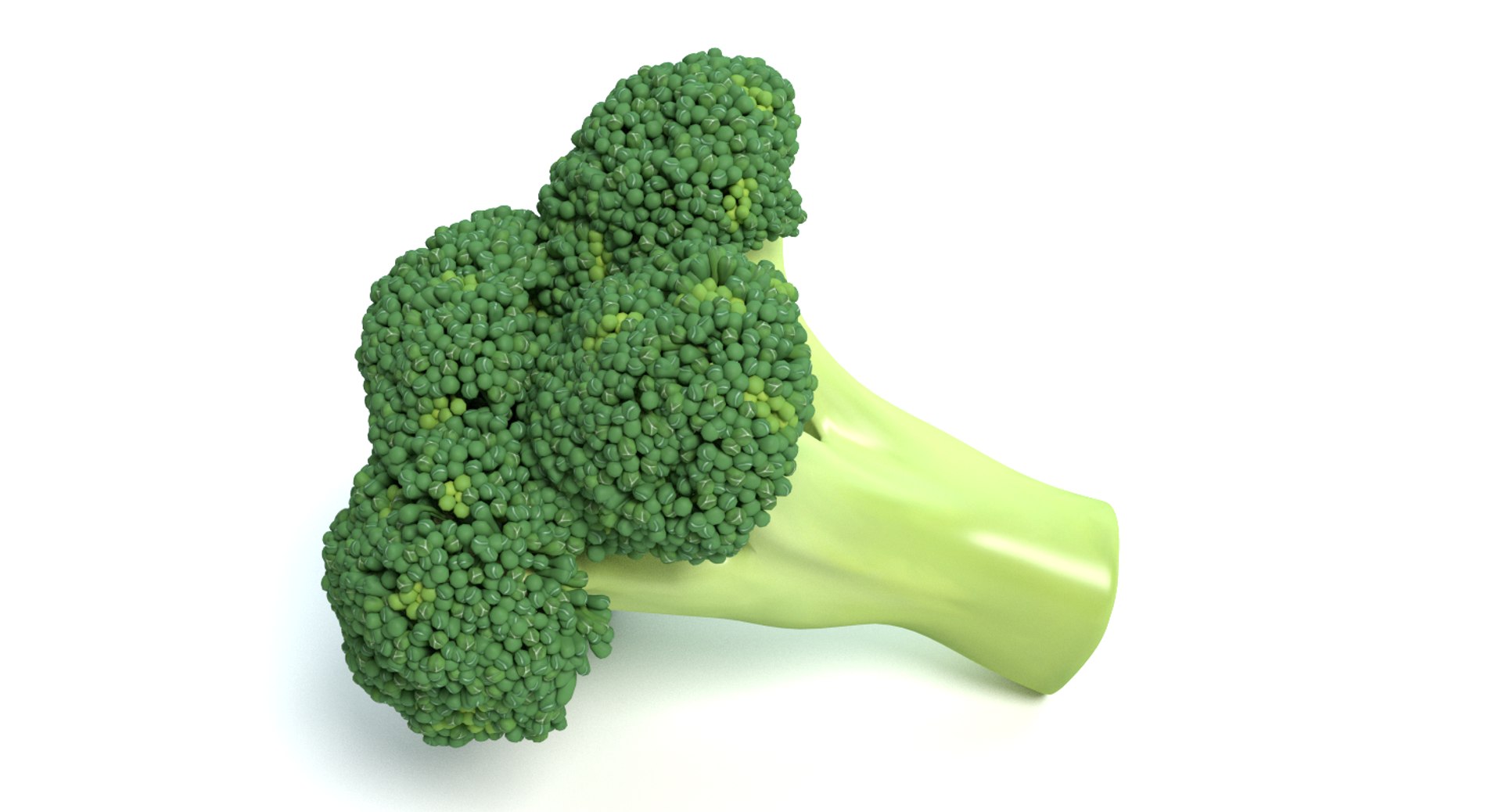 Broccoli 3d Max