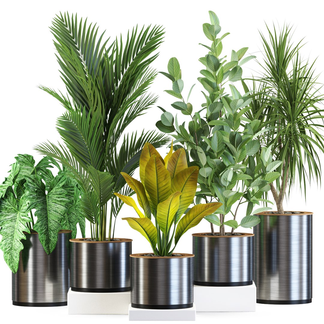 3D Plants Collection 547 Model - TurboSquid 1860129