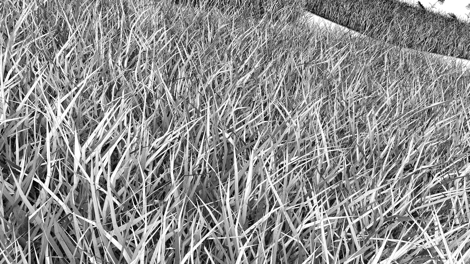 3D realistic grass - TurboSquid 1713311