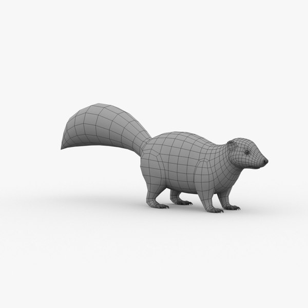 modelo 3d skunk basemesh - TurboSquid 2007167