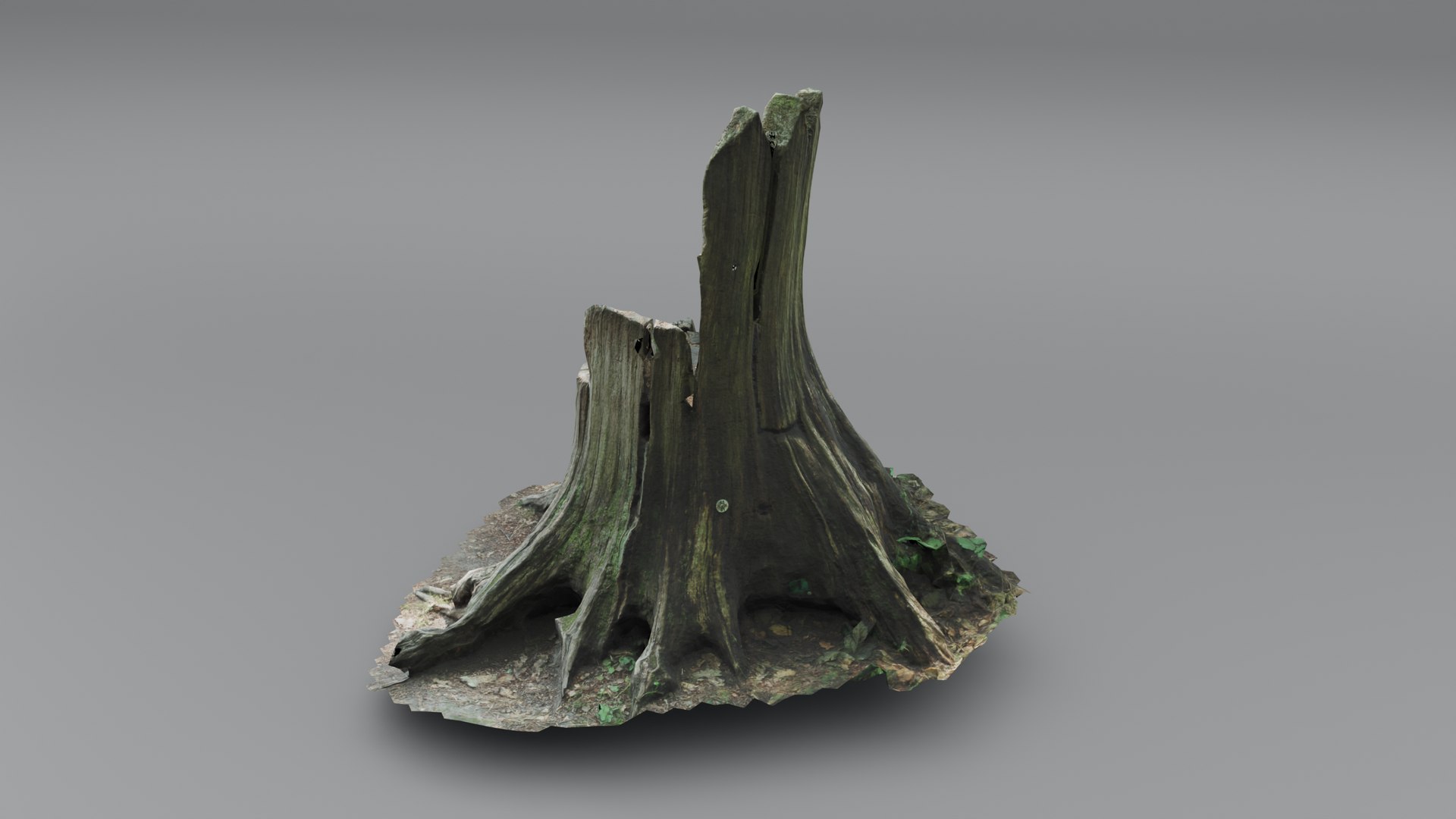 Free 3D Model Tree Stump Carved Into Throne Photoscan Low Poly ...