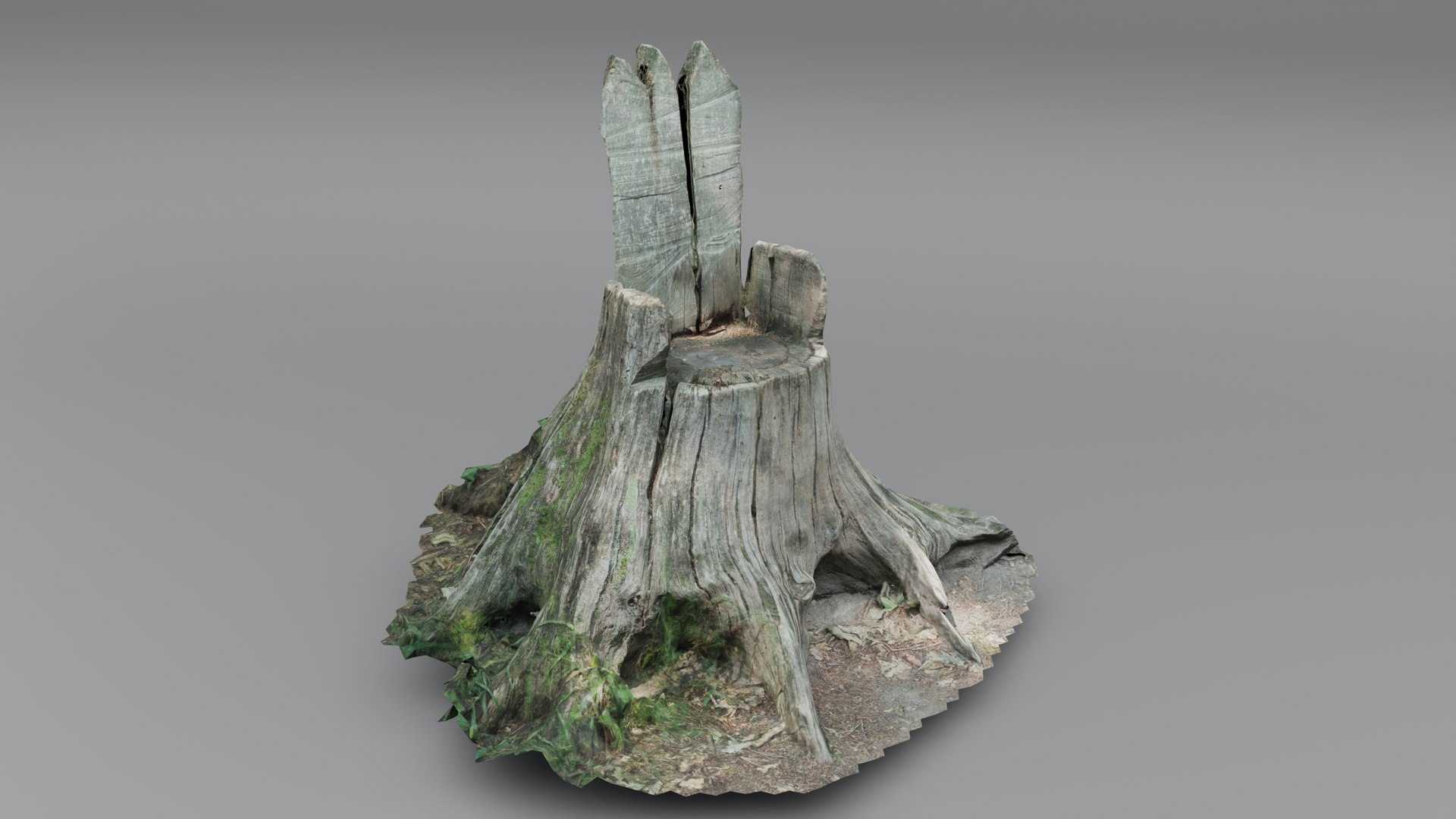 Free 3D Model Tree Stump Carved Into Throne Photoscan Low Poly ...