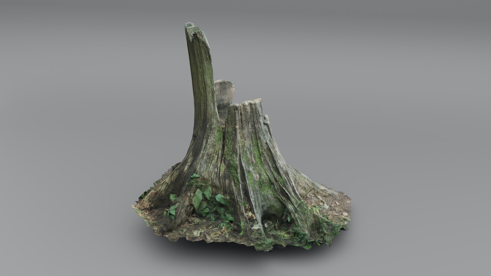 Free 3D Model Tree Stump Carved Into Throne Photoscan Low Poly ...