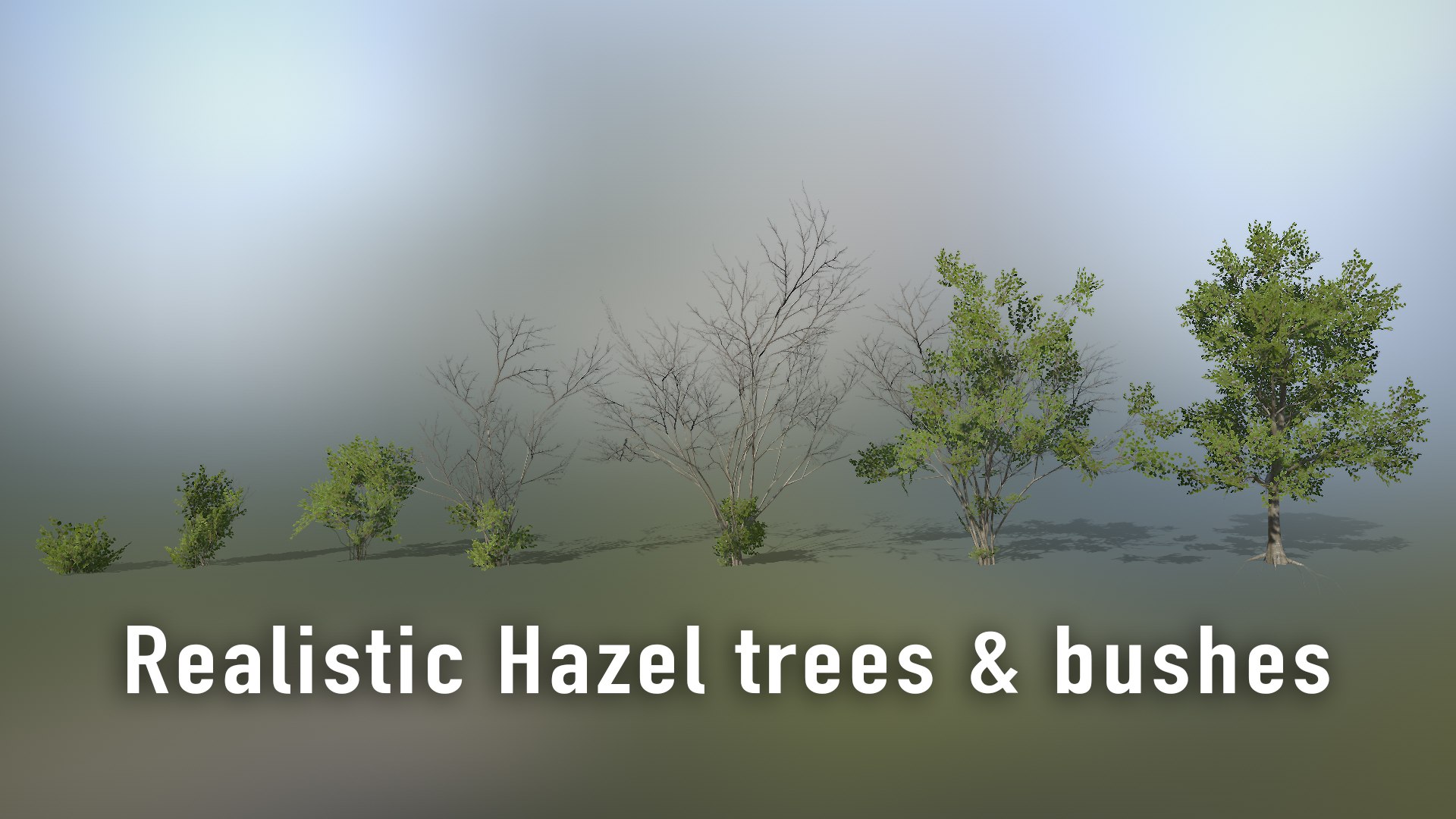 modelo 3d Arbustos y avellanos realistas. - TurboSquid 2126935