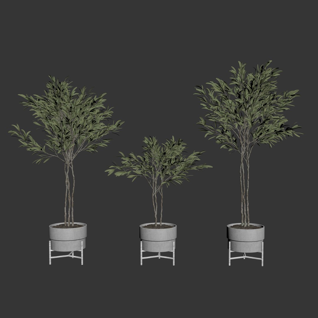 3D Olive Trees 3 - TurboSquid 1809165