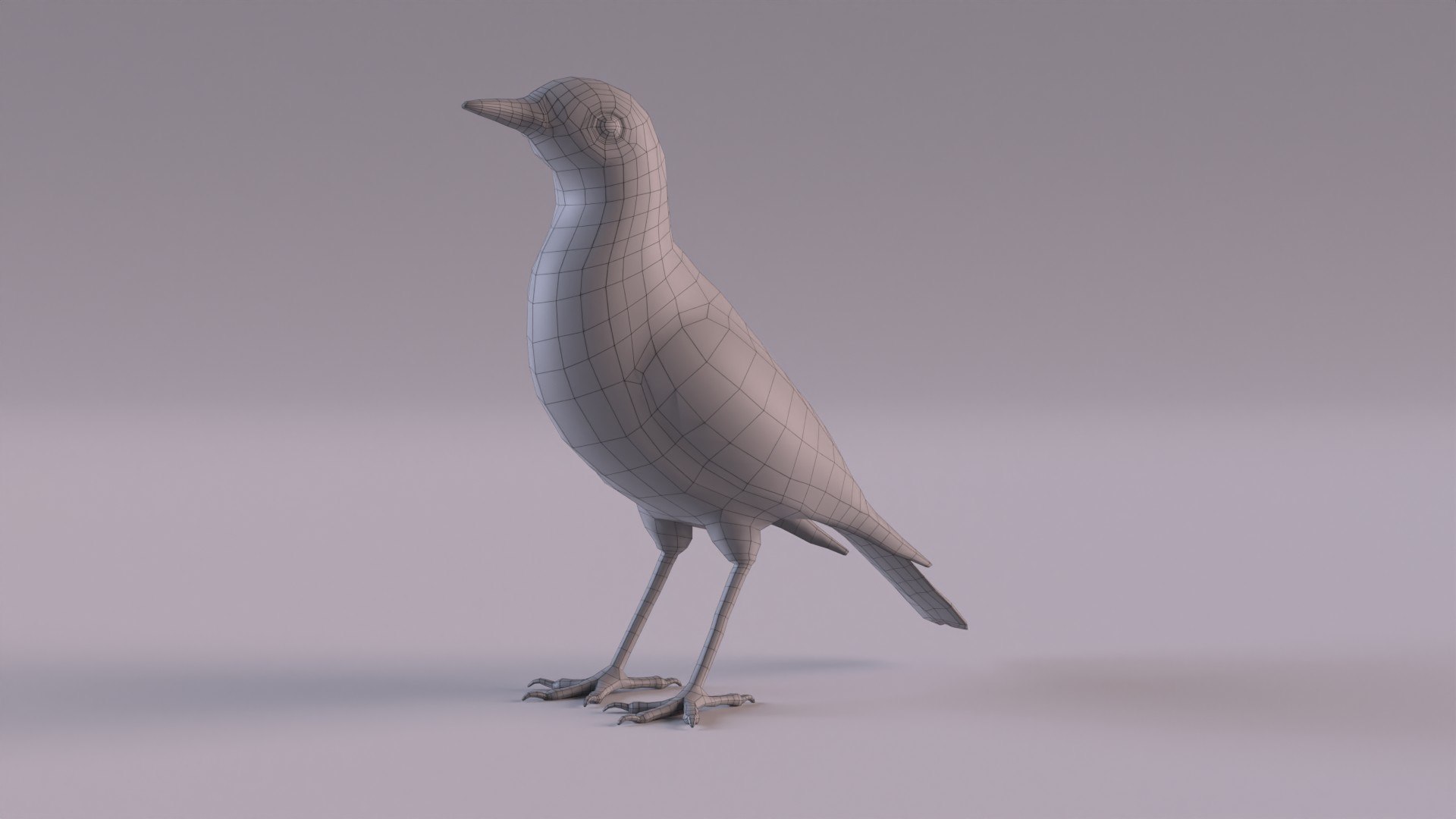 3D Pipit - TurboSquid 1906070