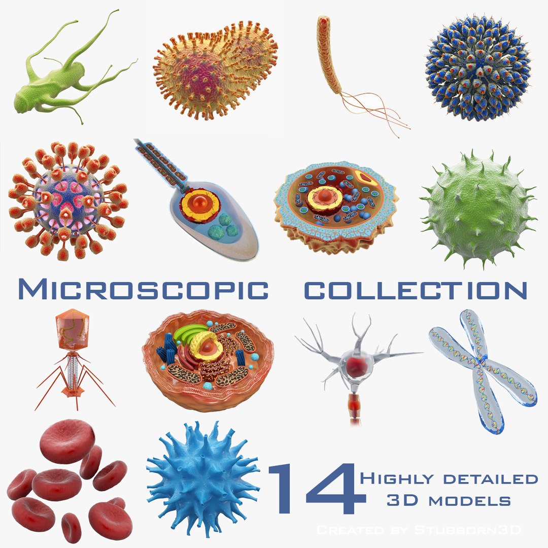 3d Large Collections 9 1 Model
