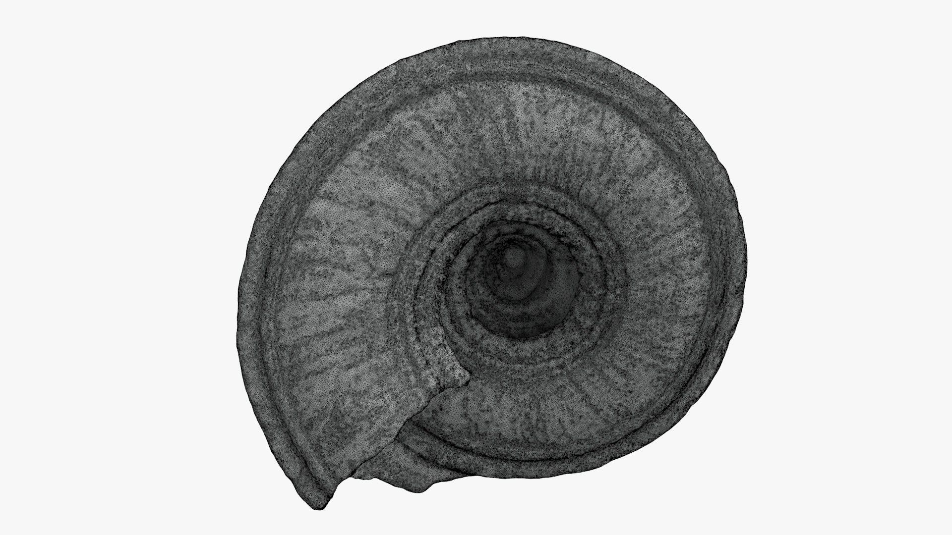 Architectonica Perspectiva For 3D Print Model - TurboSquid 2369814