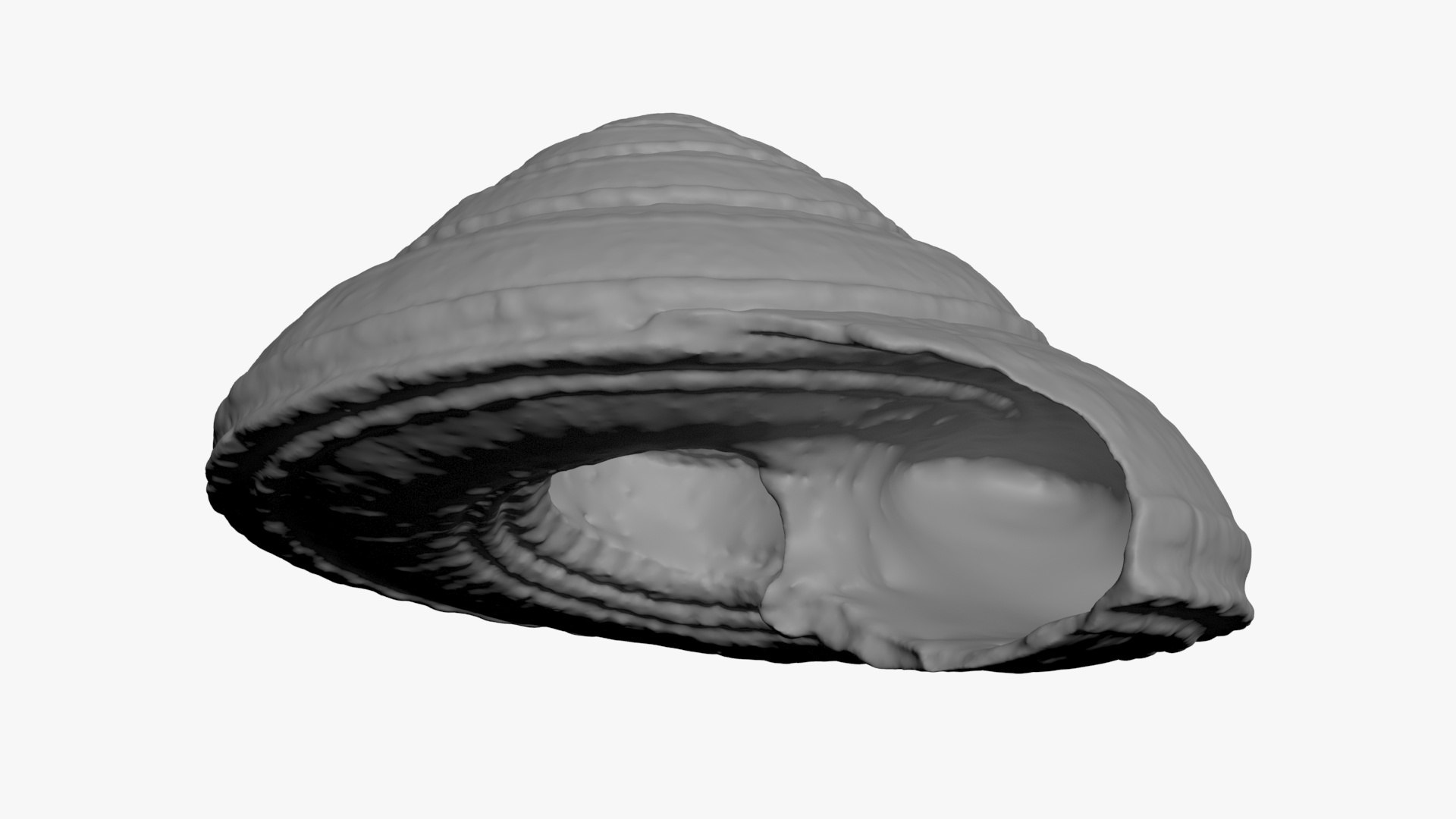 Architectonica Perspectiva For 3D Print Model - TurboSquid 2369814