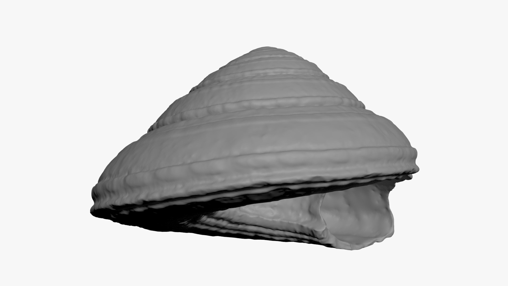 Architectonica Perspectiva For 3D Print Model - TurboSquid 2369814